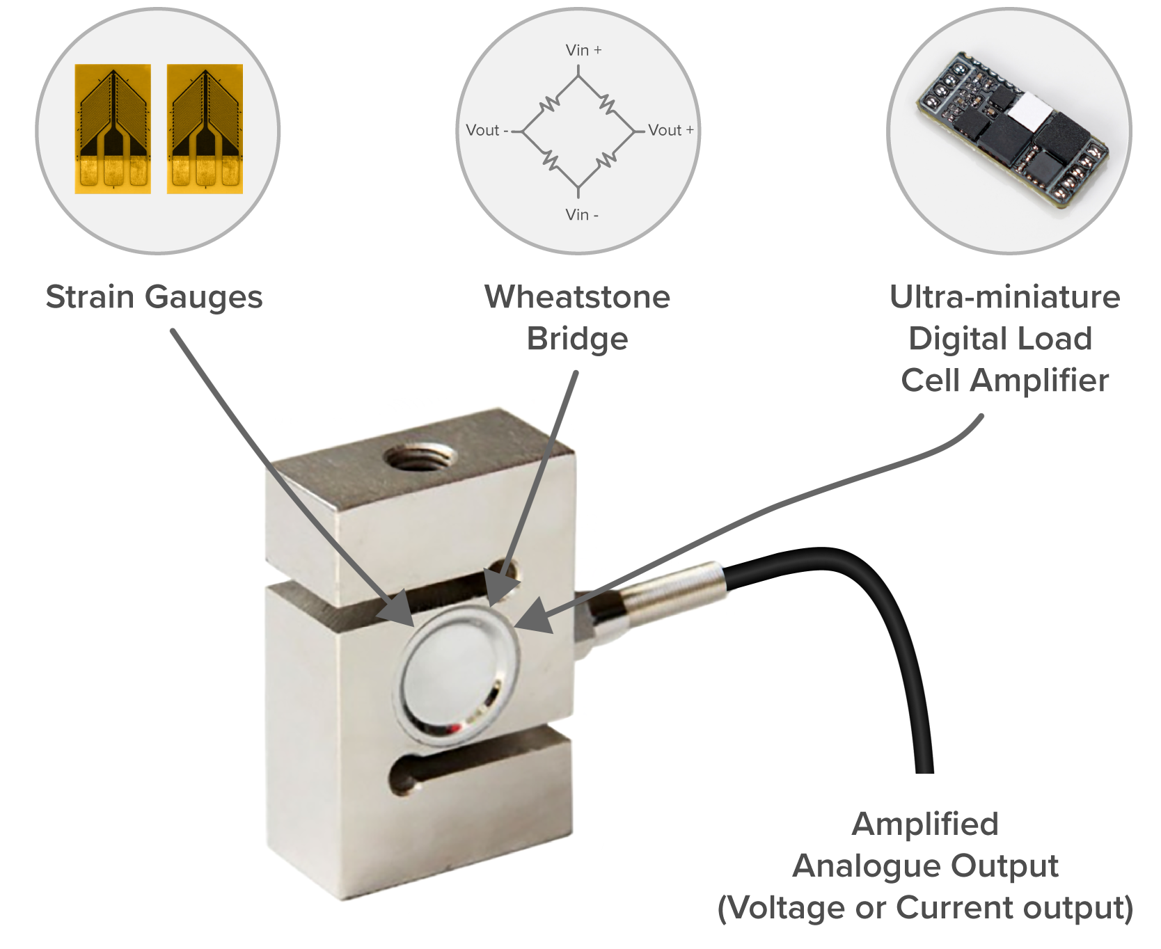 Digital Load Cell Amplifier - Transmission Dynamics
